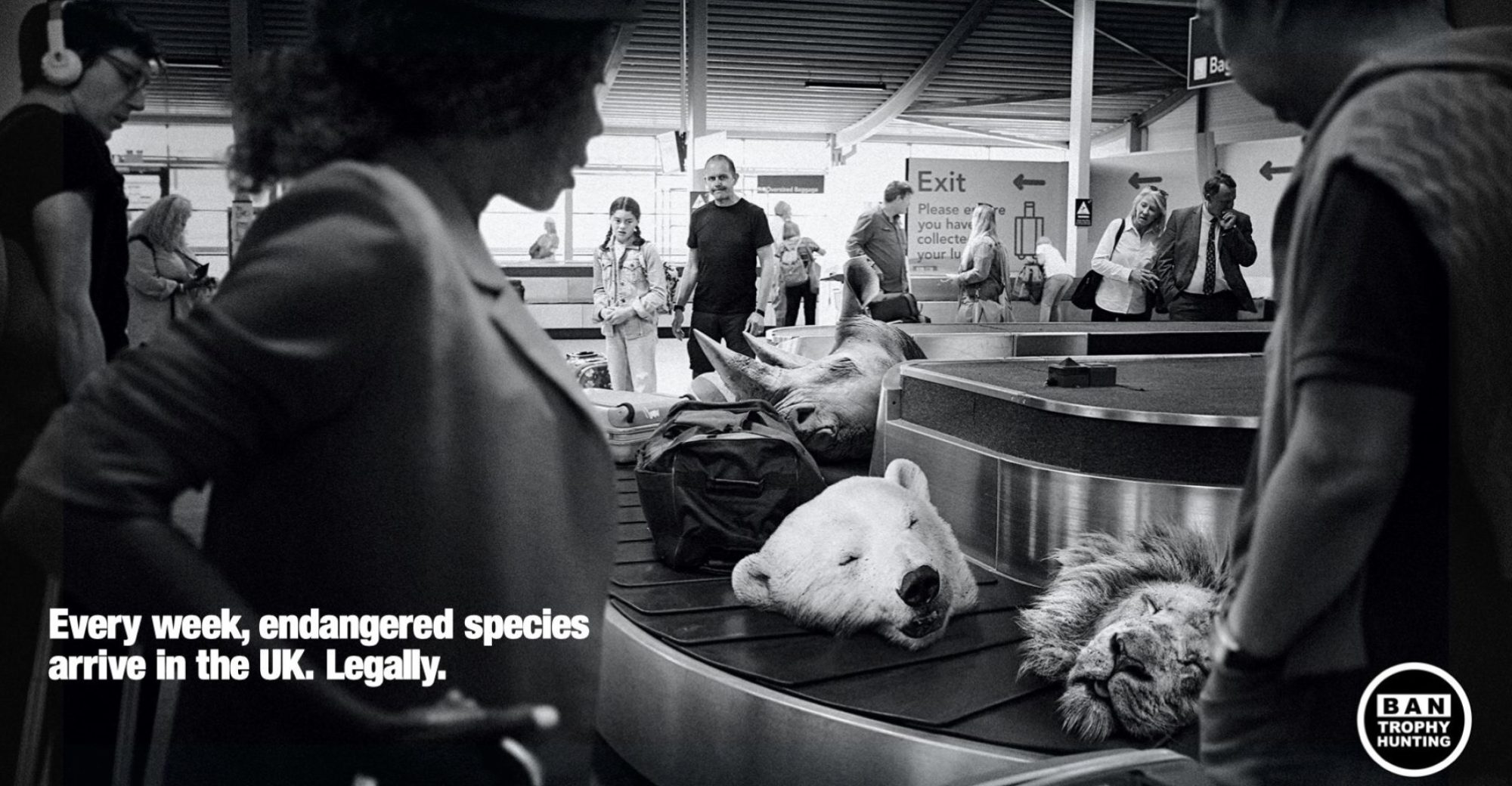 Ban Trophy Hunting - The Official Campaign to Ban Trophy Hunting Website