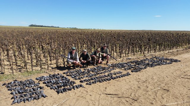 Sir Ranulph Fiennes - 'A promise to ban hunting trophies could win my ...